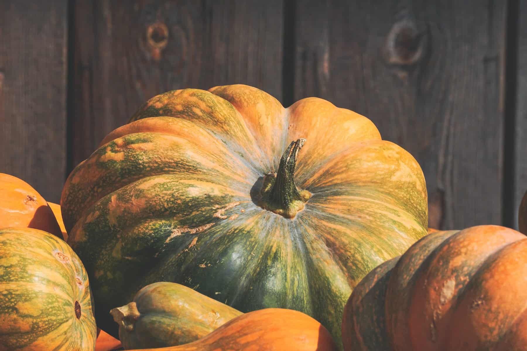 FREE Admission to Mildale Fall Farm Fest - Kansas City on the Cheap