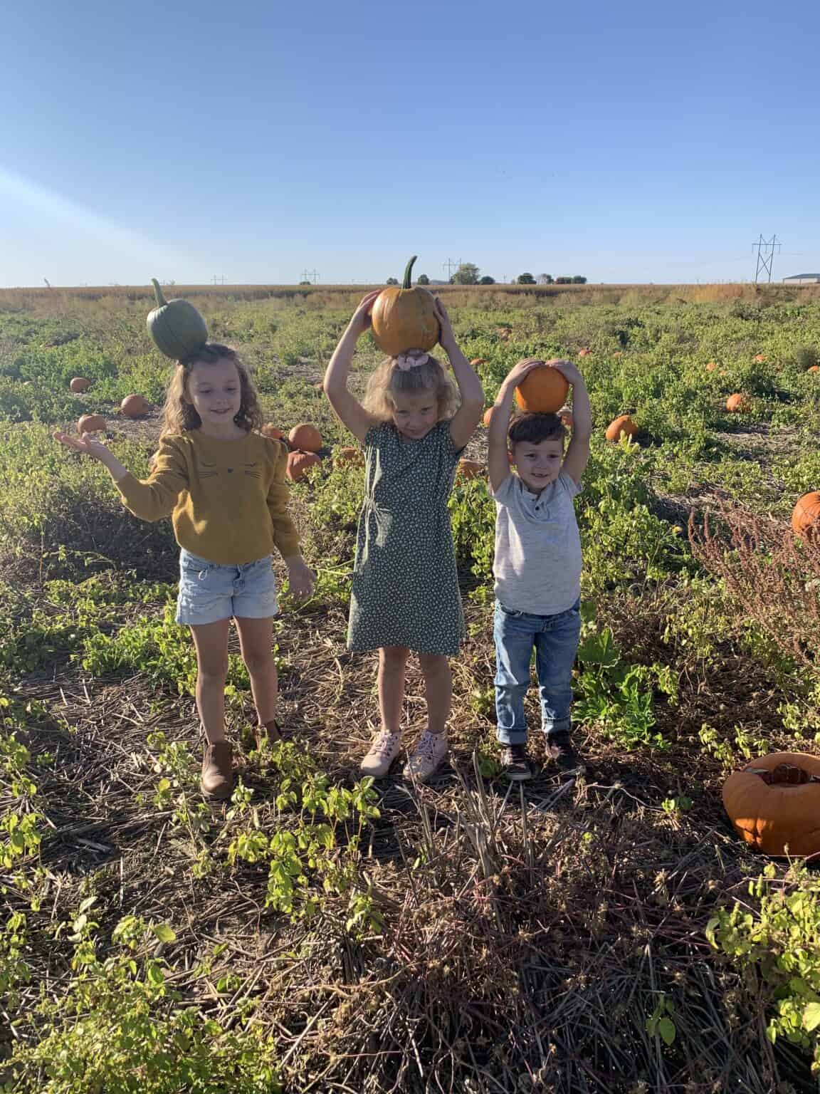 The Best Pumpkin Patches in the Kansas City Metro - Kansas City on the ...