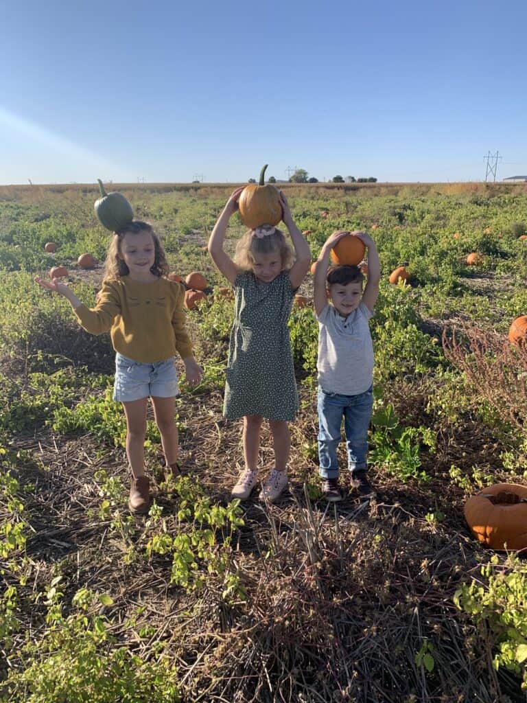 The Best Pumpkin Patches in the Kansas City Metro - Kansas City on the ...