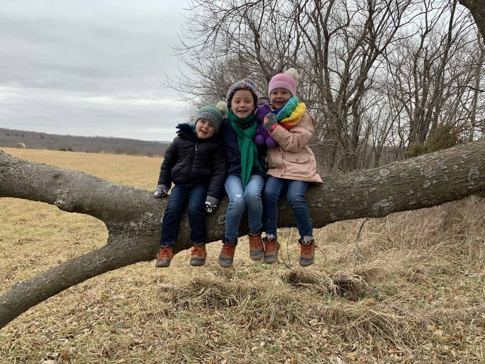 The Best Winter Hikes In Kansas City - Kansas City on the Cheap