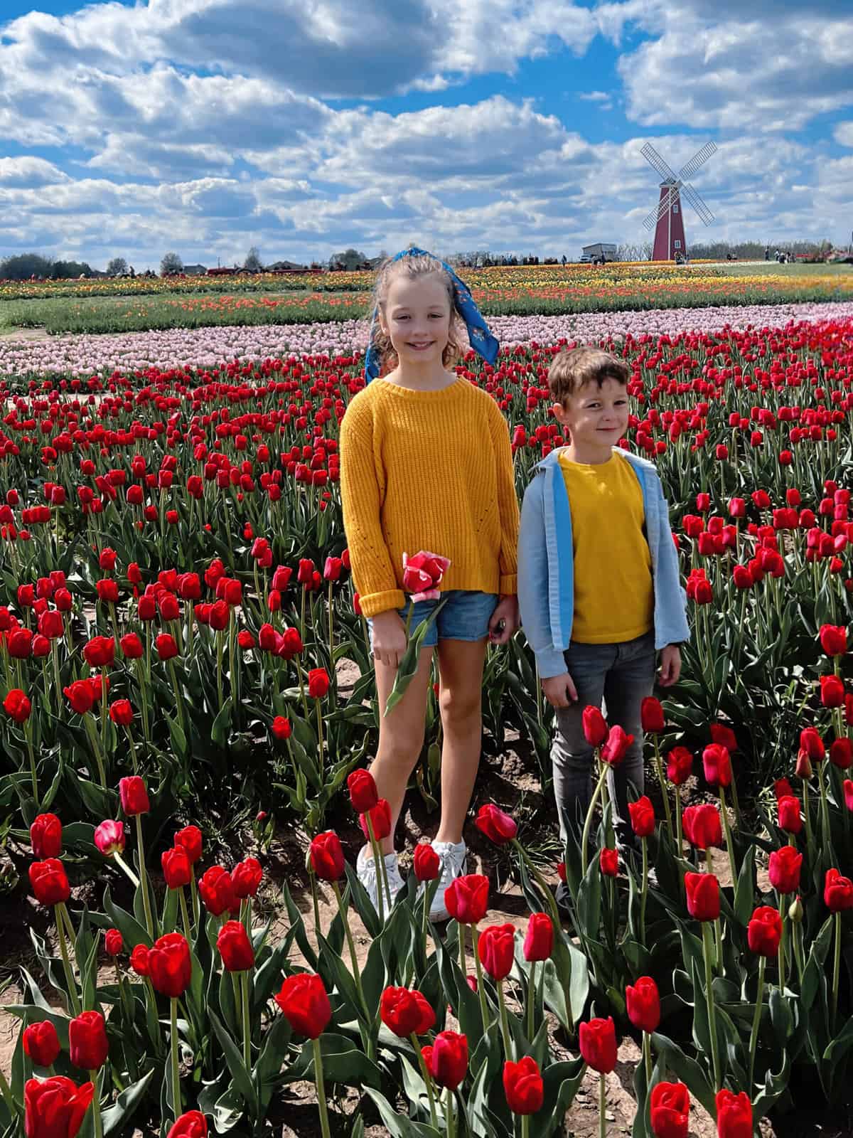 Tulip Festival at the Fun Farm - Kansas City on the Cheap